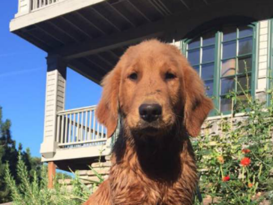 Emerald Staffing | Portland Oregon Staffing Agency